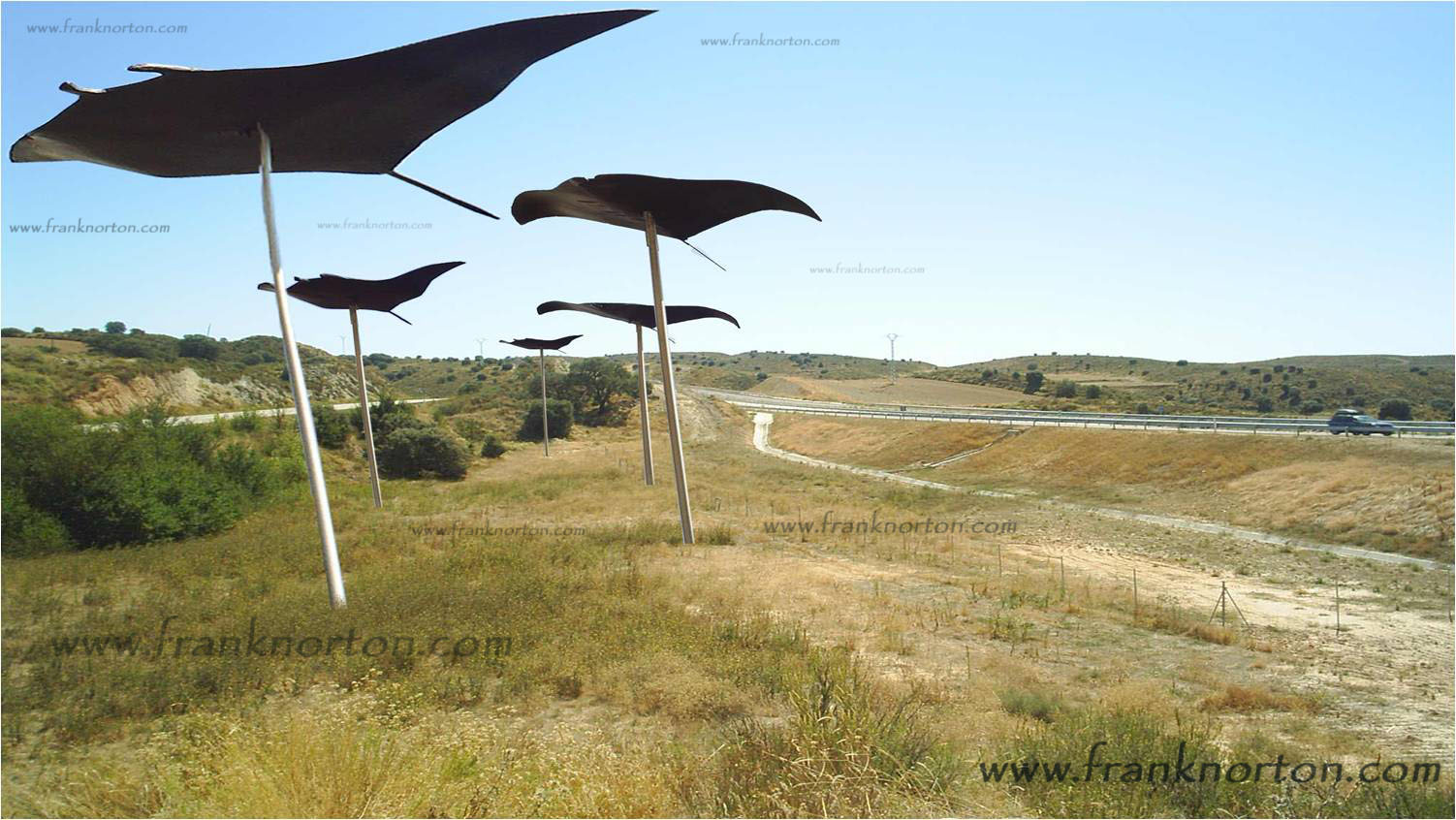 Frank Norton escultor - Rayas